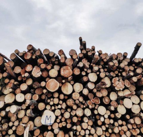 Content Part 6 - Ragnar Collection by Divi Den Pro